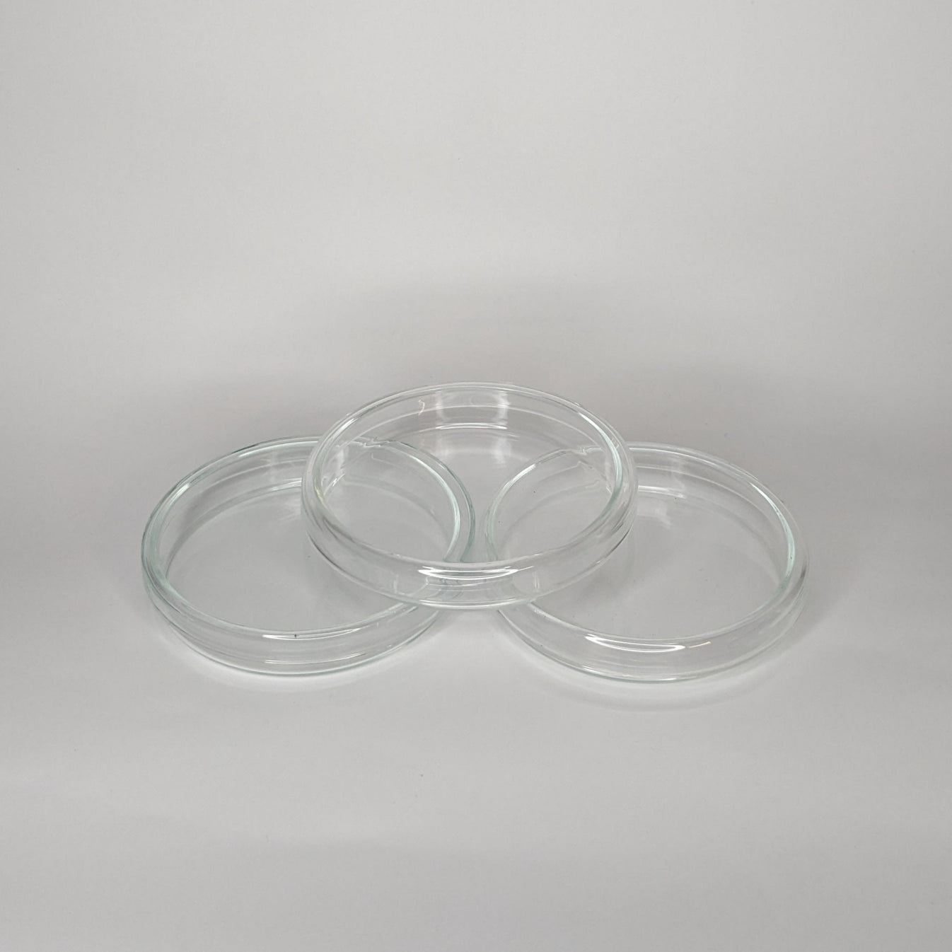 Glass Agar Plate 90mm (1pk) – GrowMycelium