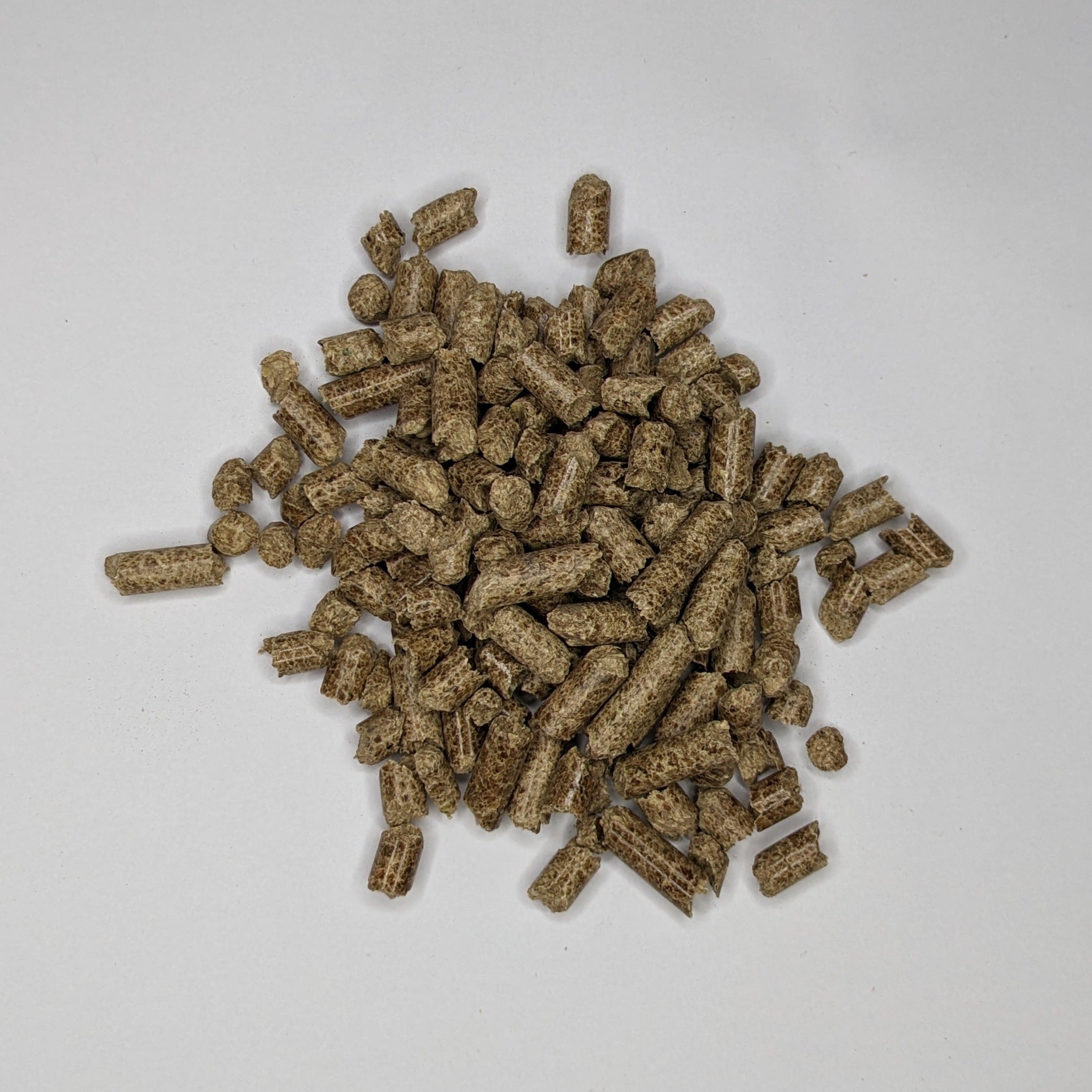 Top-Quality Mushroom Growing Supplies in Manchester – GrowMycelium